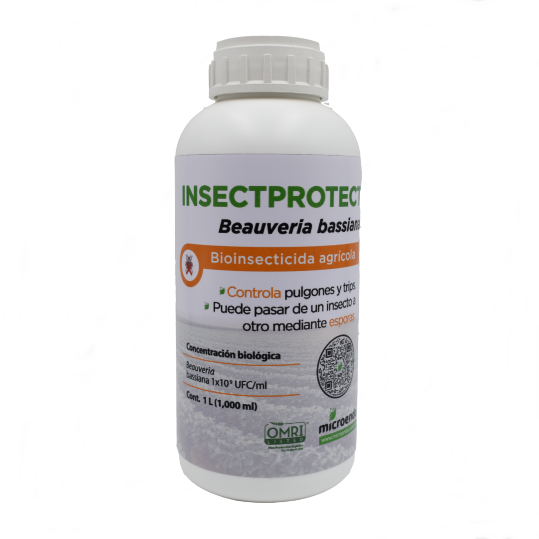 Contacto - Microendo