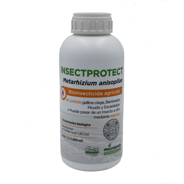 Ficha InsectProtect Metarhizium anisopliae
