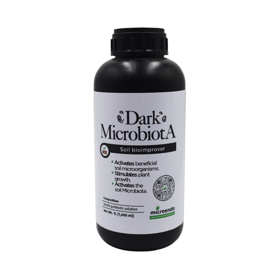 Contacto - Microendo