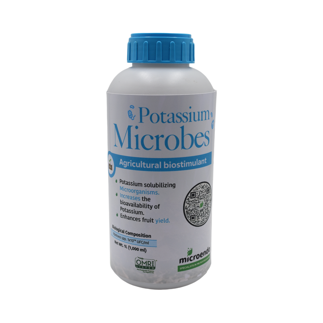 Contacto - Microendo